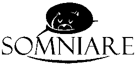 Diseñador Web Freelance 】 Jcweb